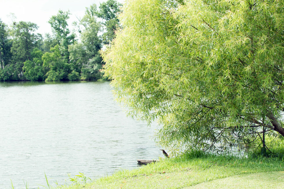 Home - Singh RV Campground